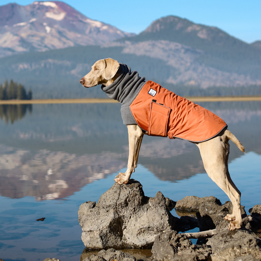 Voyagers K9 Apparel | Breed-Specific Custom-Sized Dog Coats