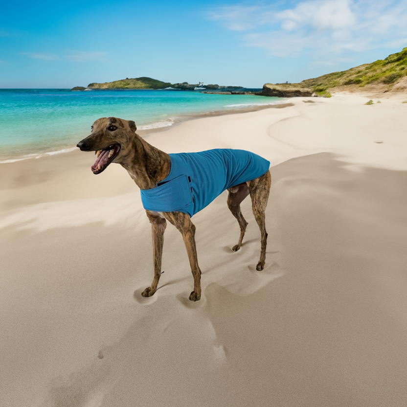 Cooling Coats – Voyagers K9 Apparel