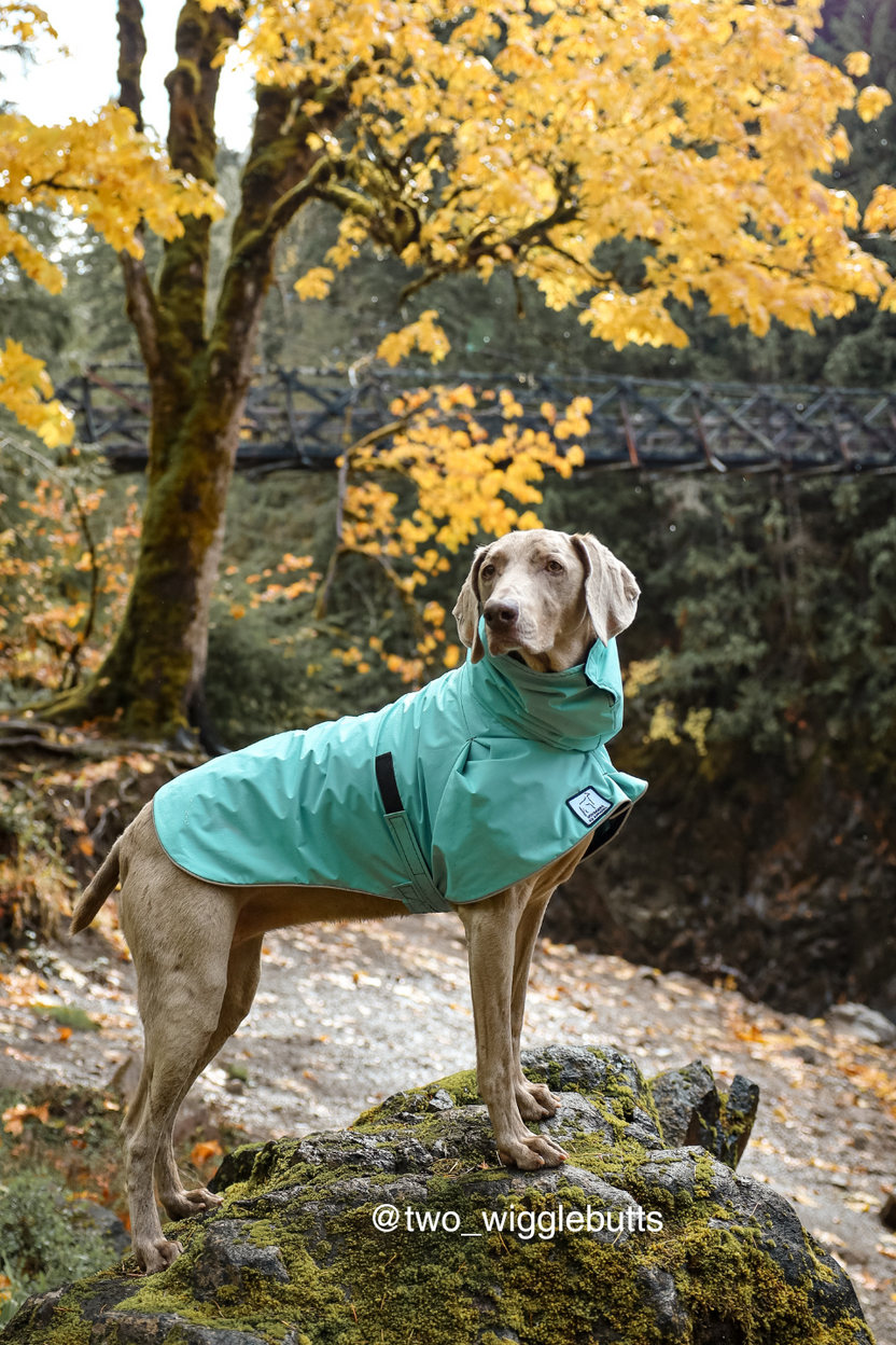 Voyagers K9 Apparel | Breed-Specific Custom-Sized Dog Coats