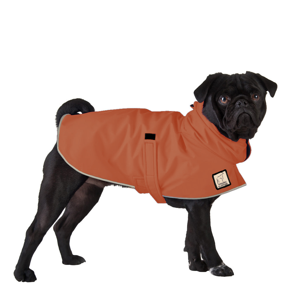 Pug Waterproof Dog Rain Coat – Voyagers K9 Apparel