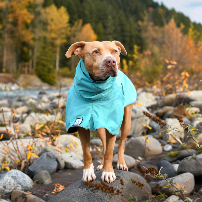 Voyagers K9 Apparel | Breed-Specific Custom-Sized Dog Coats