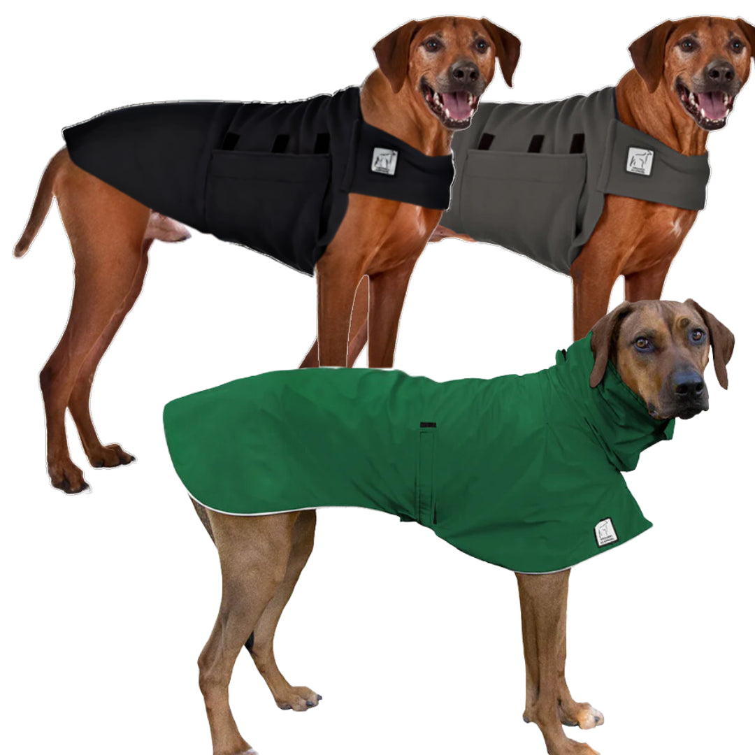Rhodesian Ridgeback Wanderer Bundle – Voyagers K9 Apparel
