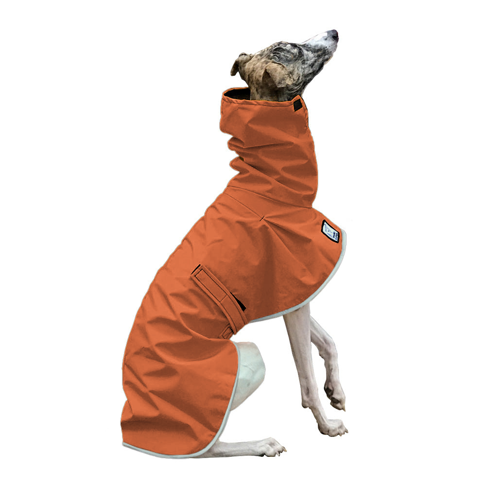 Whippet Waterproof Dog Rain Coat – Voyagers K9 Apparel