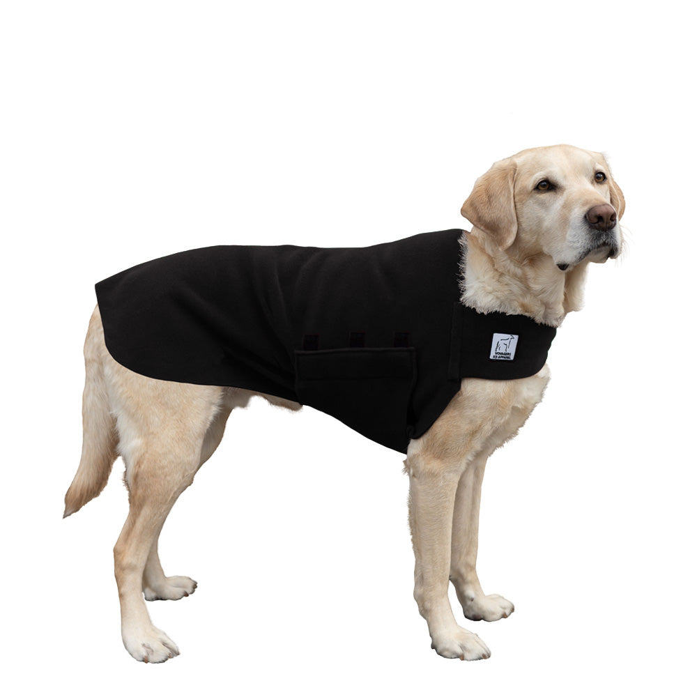 Labrador Retriever Tummy Warmer Dog Vest – Voyagers K9 Apparel