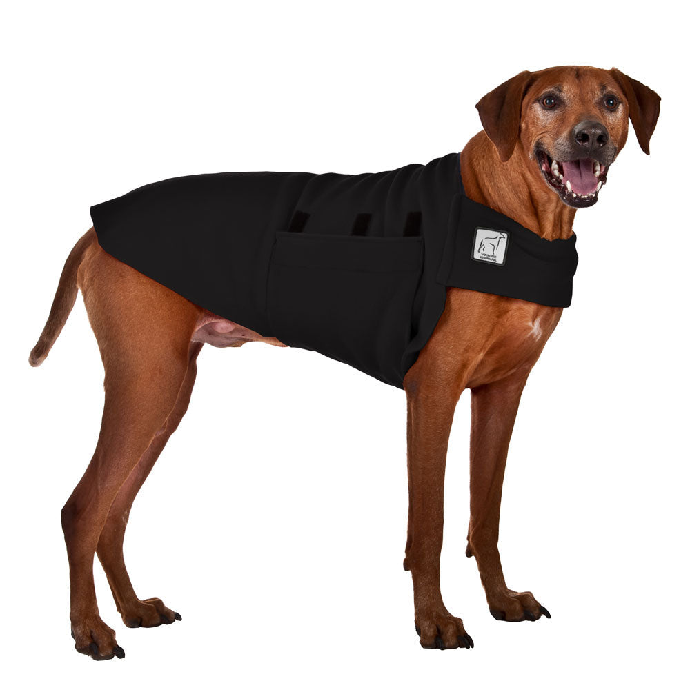 Rhodesian Ridgeback Tummy Warmer Dog Vest – Voyagers K9 Apparel