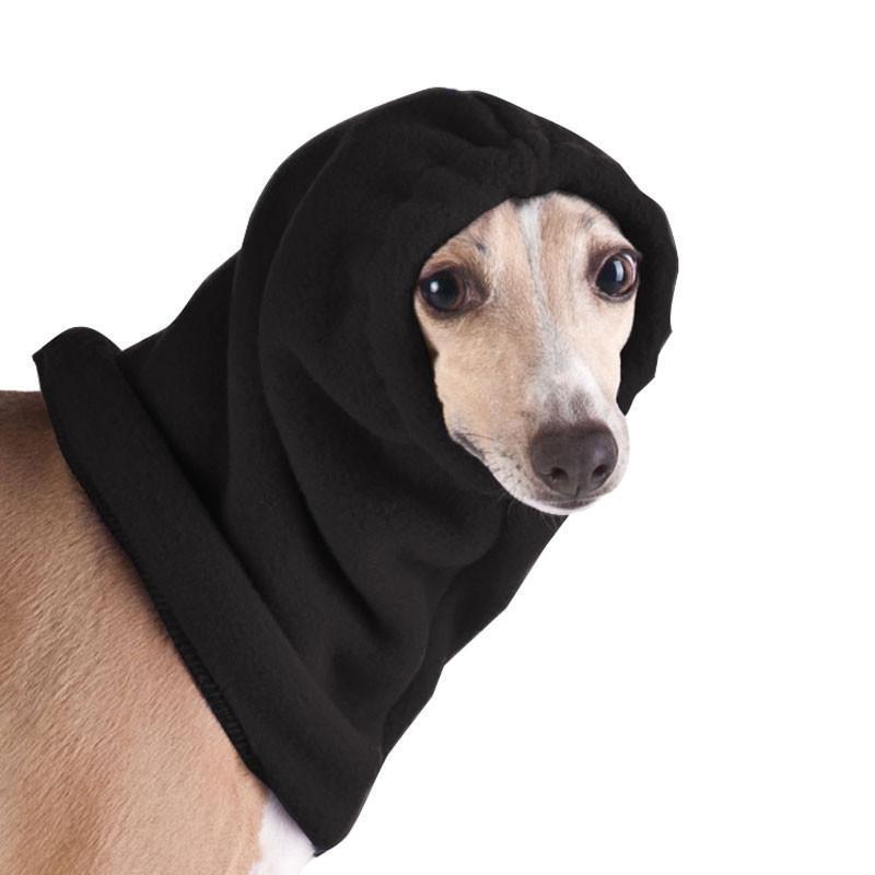 Italian Greyhound dog hood keeps ears and neck warm – Voyagers K9 Apparel