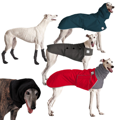 Custom Greyhound Coats | Voyagers K9 Apparel