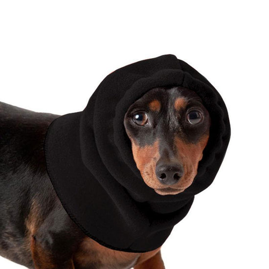 Dachshund dog hood keeps ears and neck warm. – Voyagers K9 Apparel