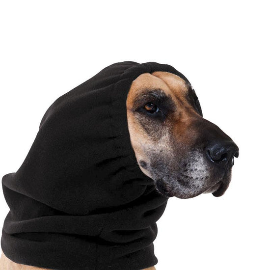 Great Dane dog hood keeps ears and neck warm. – Voyagers K9 Apparel